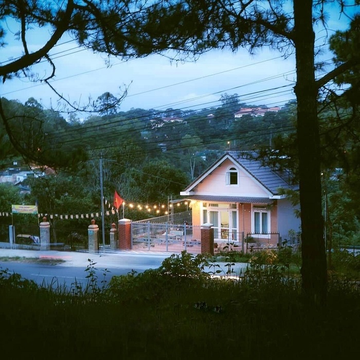 Homestay Đà Lạt D235 - View rừng thông, thung lũng, săn mây - Cho Thuê ...